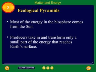 Chapter 9.3: Matter and Energy in Ecosystems | PPT