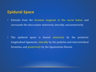 Spinal anesthesia (Anatomy and Pharmacology) | PPTX