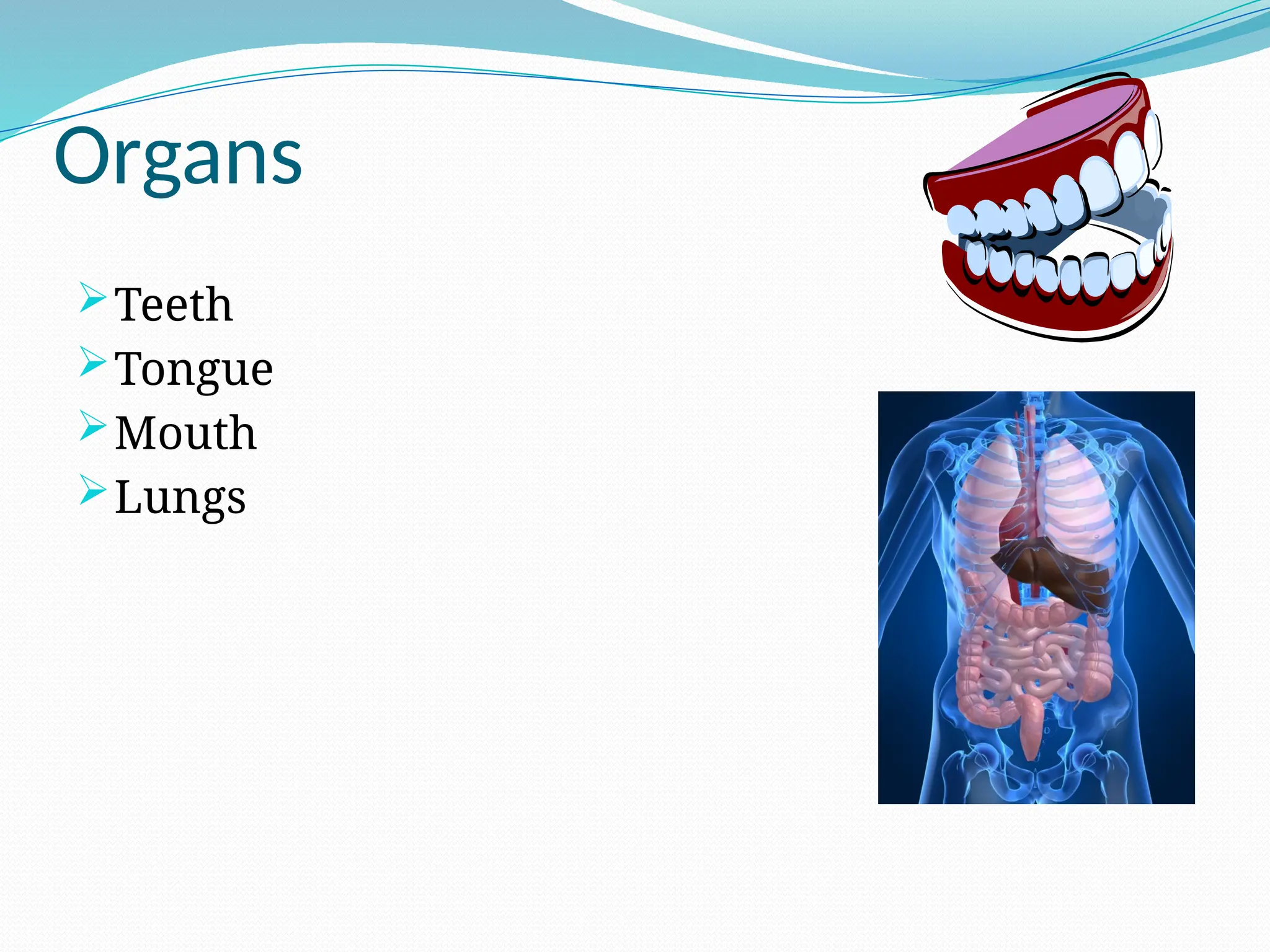 Digestive system how it works - digestion | PPT