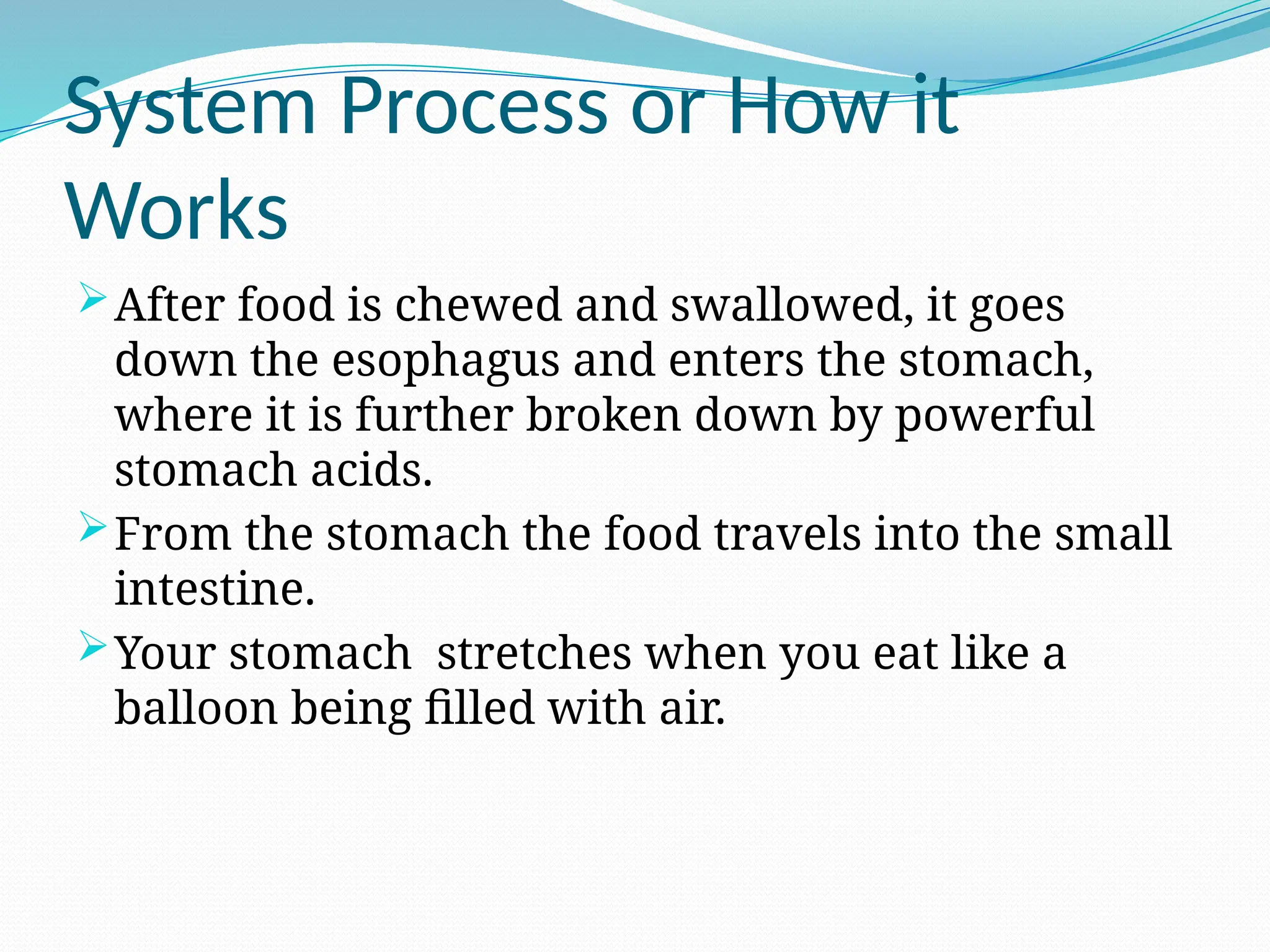Digestive system how it works - digestion | PPT