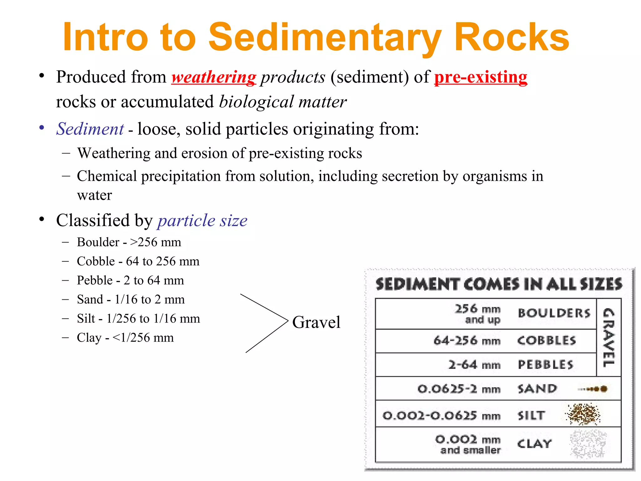 Fossils to sedimentary rock | PPTX