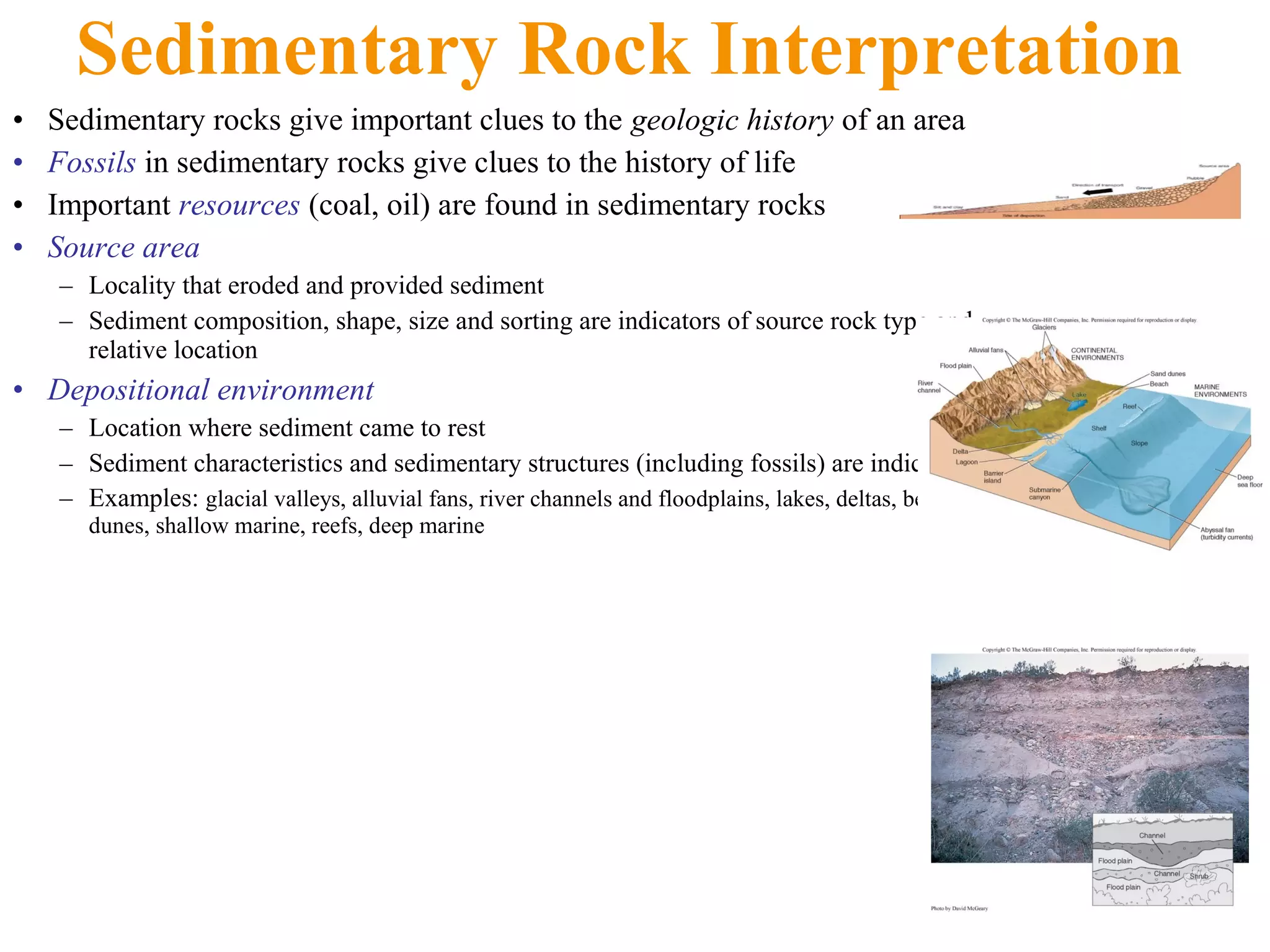 Fossils to sedimentary rock | PPTX