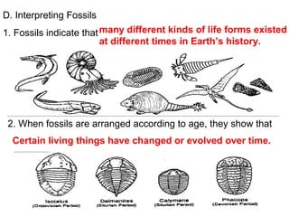 Fossils to sedimentary rock | PPTX