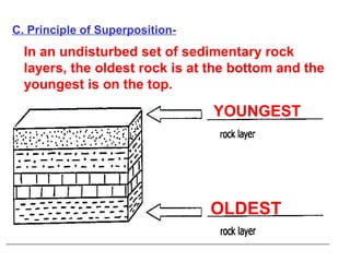 Fossils to sedimentary rock | PPTX