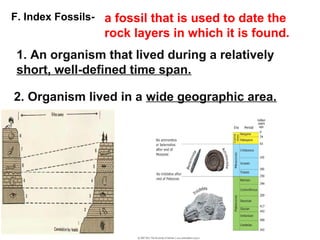 Fossils to sedimentary rock | PPTX