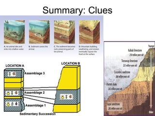 Fossils to sedimentary rock | PPTX