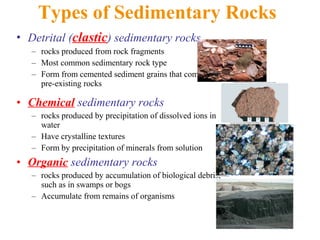 Fossils to sedimentary rock | PPTX