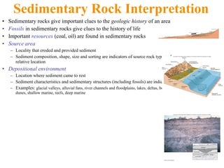 Fossils to sedimentary rock | PPTX