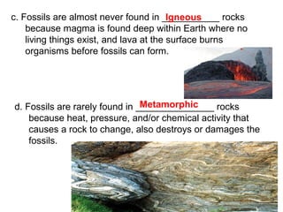 Sedimentary Rock Examples With Fossils