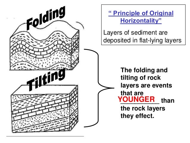 Fossils to sedimentary rock