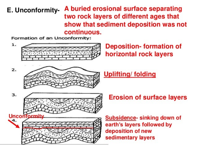Fossils to sedimentary rock