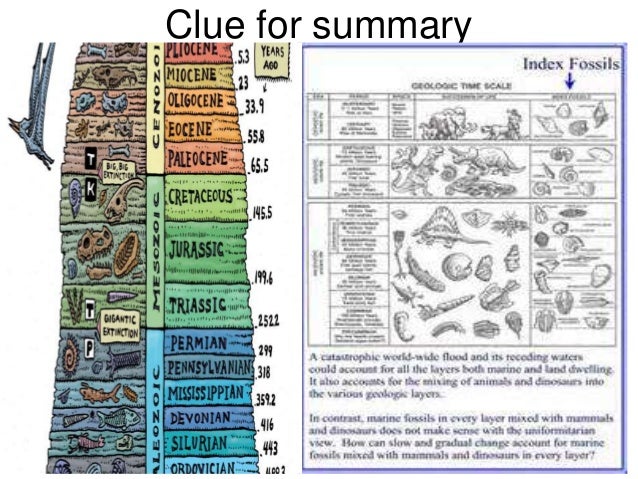 Fossils to sedimentary rock