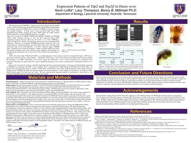 ASB PosterCompletepdf | PDF | Genetics | Science