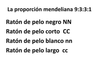 Ejemplos de la primera y segunda ley de Mendel | PDF