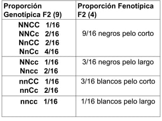 Ejemplos de la primera y segunda ley de Mendel | PDF