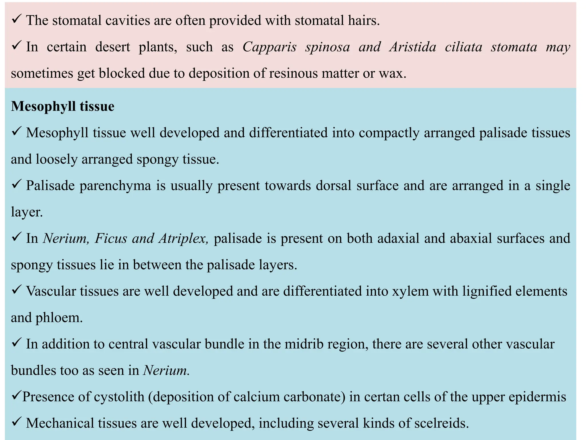 Anatomical adaptations in Xerophytes.pdf