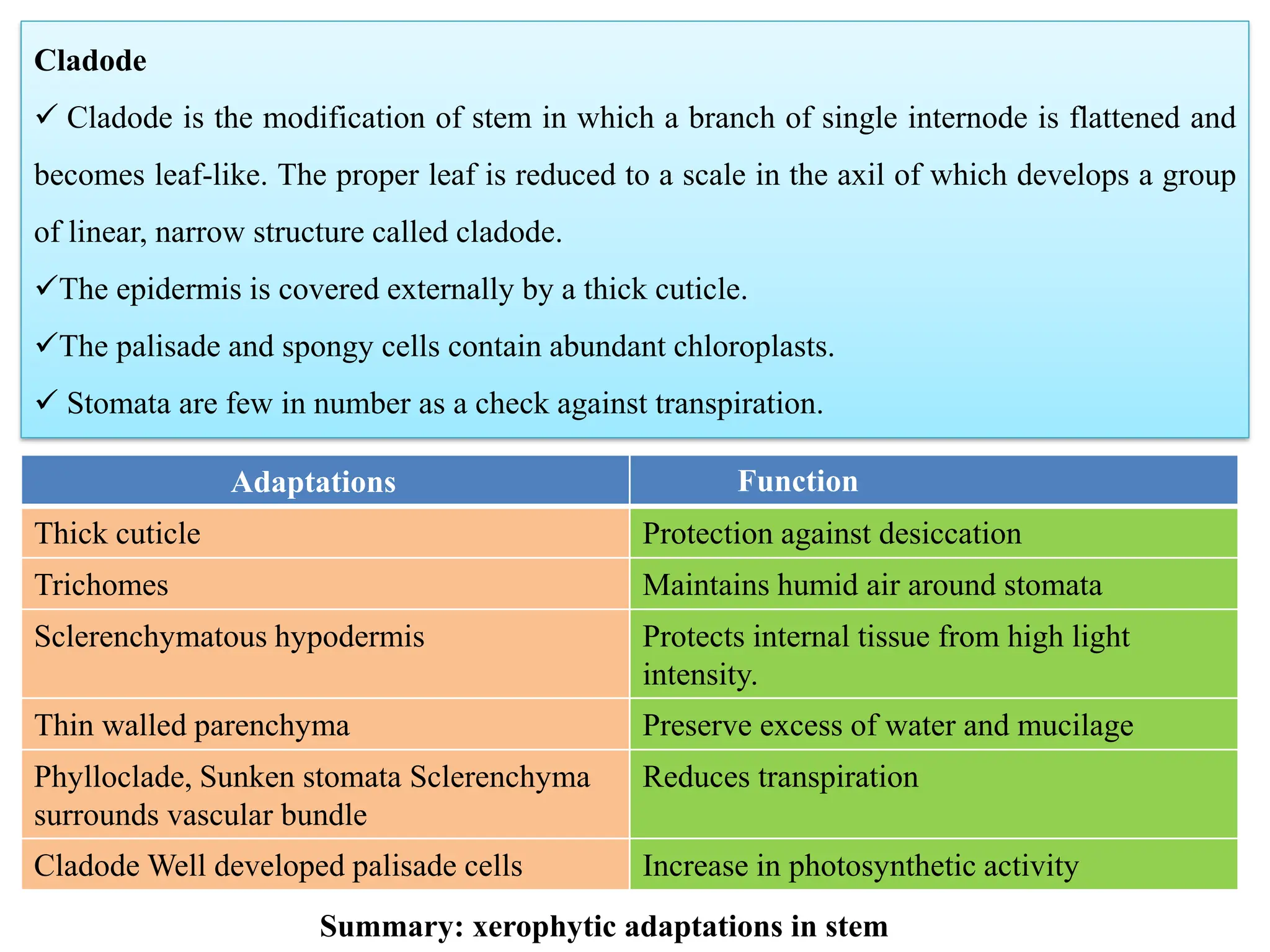 Anatomical adaptations in Xerophytes.pdf