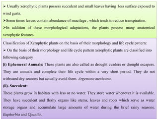 Anatomical adaptations in Xerophytes.pdf