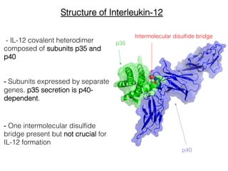 Defense of thesis presentation | PPT