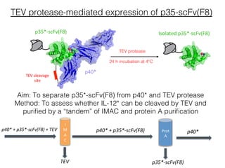 Defense of thesis presentation | PPT