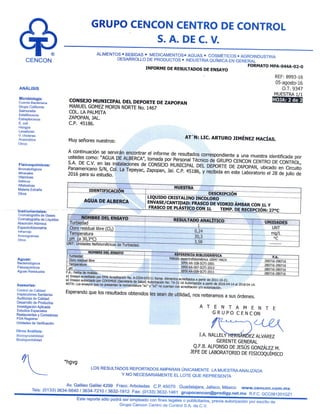 DICTAMEN TÉCNICO DE MANTENIMIENTO DEL CAZ | PDF