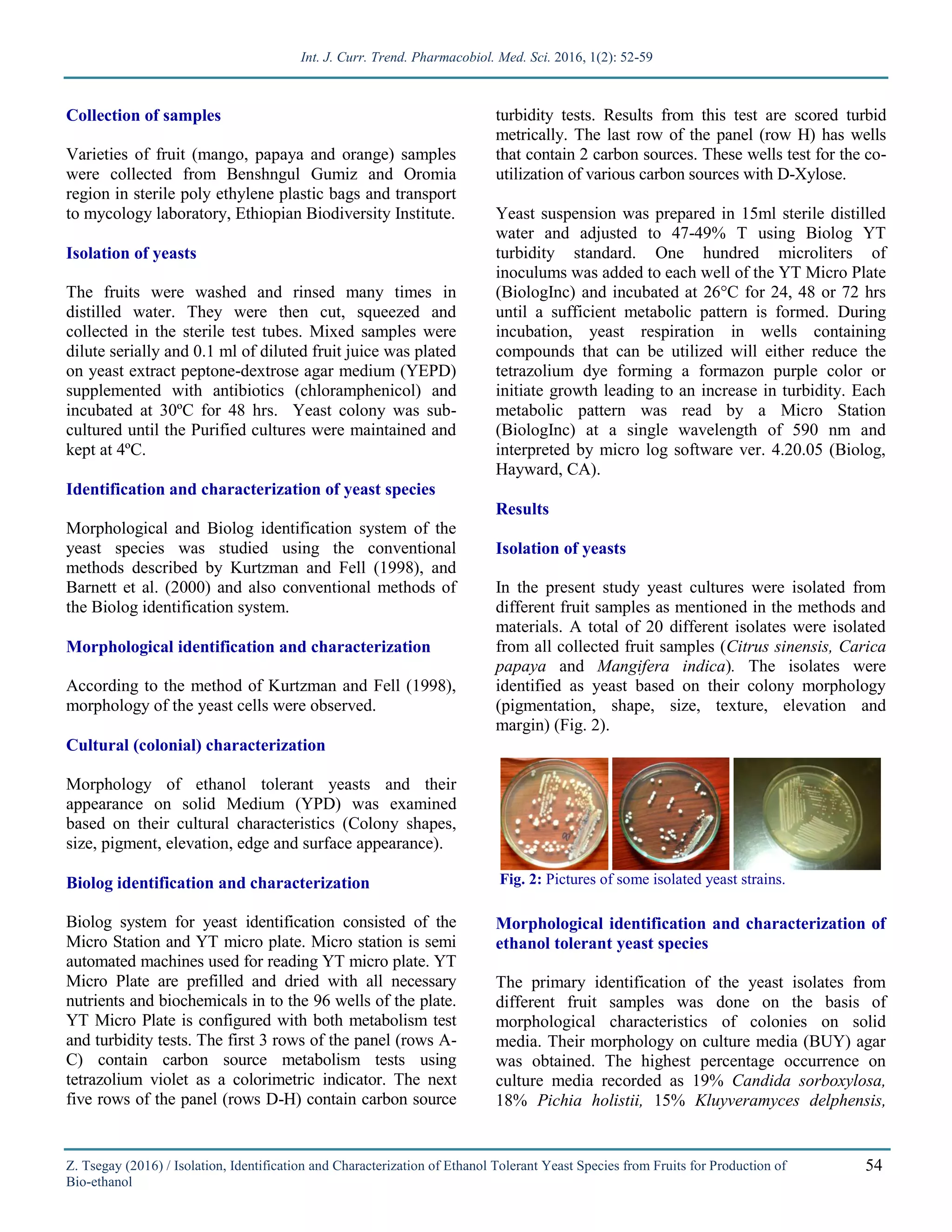 Zerihun Tsegay | PDF