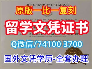 AAU Bachelor Degree | PDF