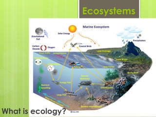 Presentation on theme: "Ecosystems What is ecology?.".ppt