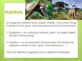 Presentation on theme: "Ecosystems What is ecology?.".ppt