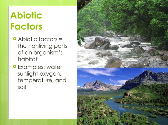Presentation on theme: "Ecosystems What is ecology?.".ppt