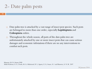proposal date palm final | PPTX
