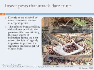 proposal date palm final | PPTX