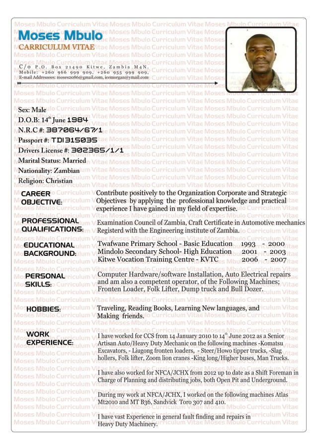 Mose CV | PDF