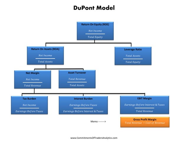 DuPont Model Flow | PPT