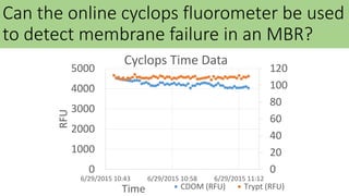 Fluorescence spectroscopy as a monitoring technique for a MBR water ...