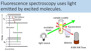 Fluorescence spectroscopy as a monitoring technique for a MBR water ...
