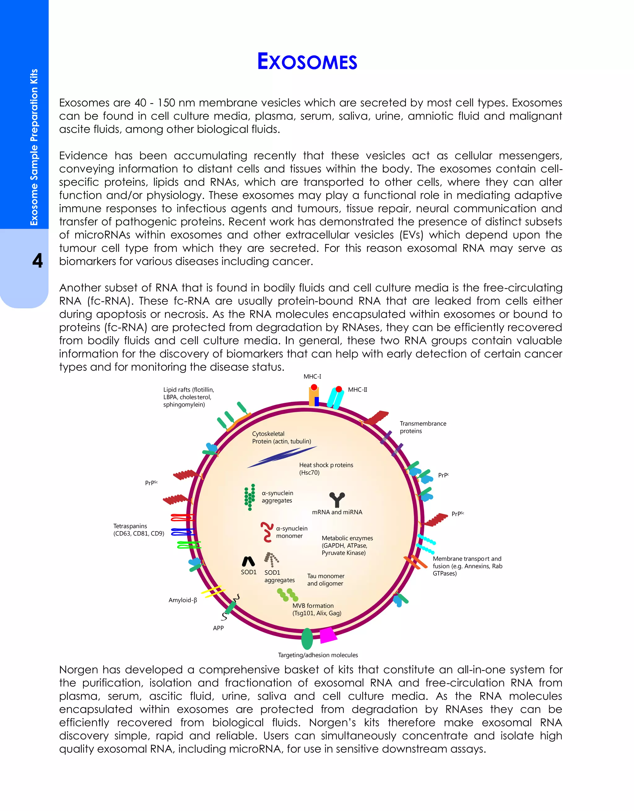 Exosomes and Microvesicles | PDF