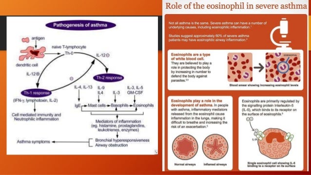 Xolair and Cinqair for allergic asthma