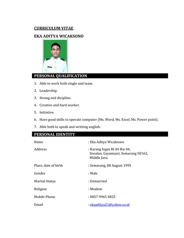 CURRICULUM VITAE INGGRIS | PDF