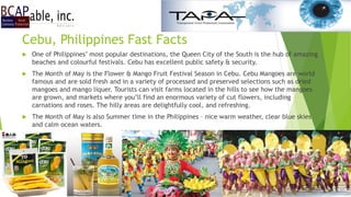 TAPA FSR Training Cebu May 2015 V2 | PDF