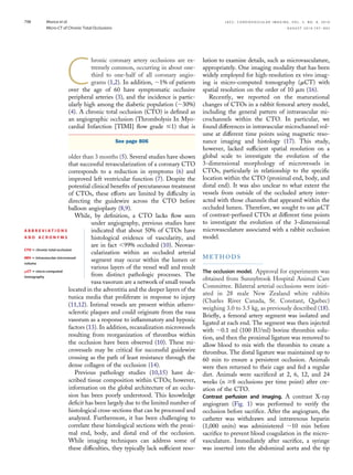 NMunce uCT for CTOs | PDF