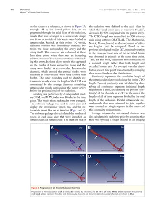 NMunce uCT for CTOs | PDF
