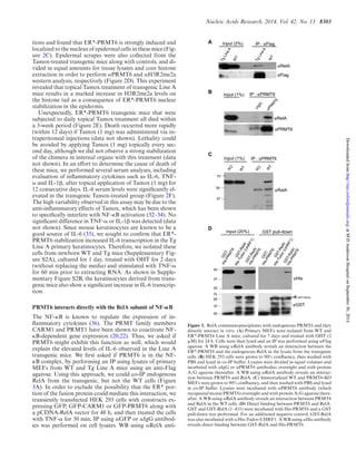 Nucl. Acids Res.-2014-Di Lorenzo-8297-309 | PDF | Endocrine and Metabolic Diseases | Diseases ...