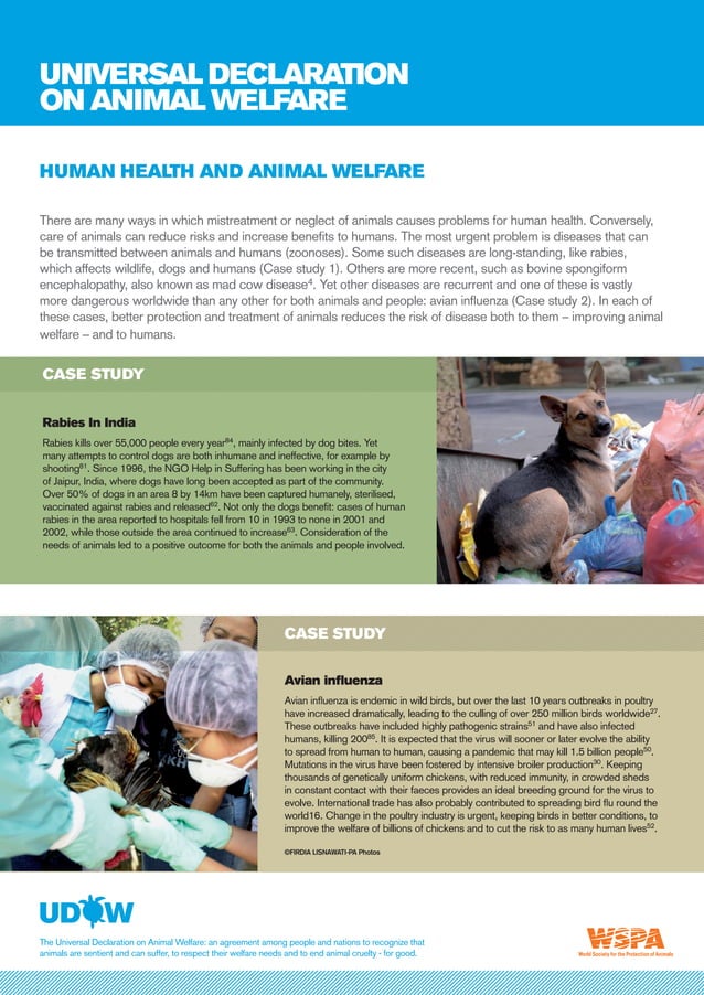The Universal Declaration on Animal Welfare | PDF