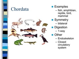 animal kingdom and its types folra fauna | PPT