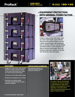 RackMountBrochure | PDF
