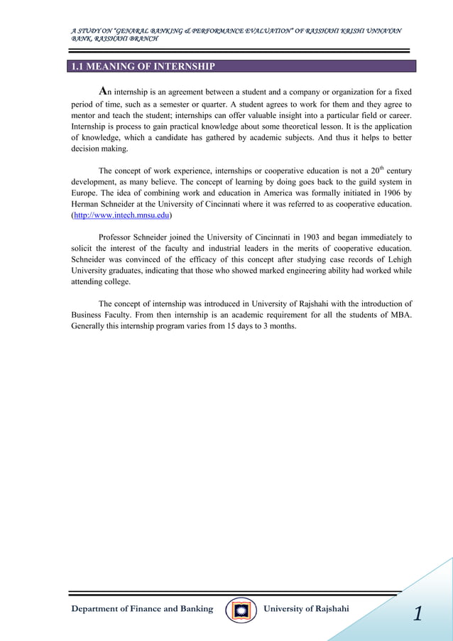 94147620 intrenship-report-on-rakub-190627074738 | PDF