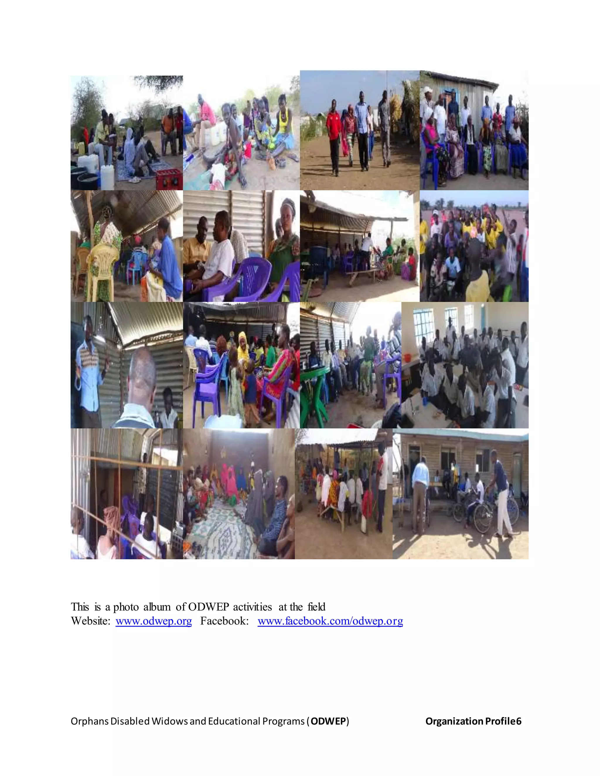 Organizational Profil shogonya | DOCX