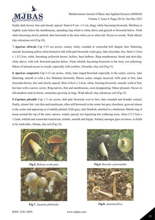 Survey and Identification of Wild Mushrooms in Eastern Region of Libya ...