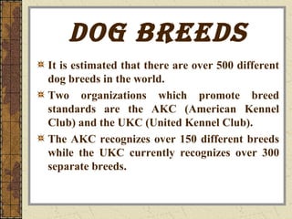 What Are The Seven Groups Of Dogs According To The Akc